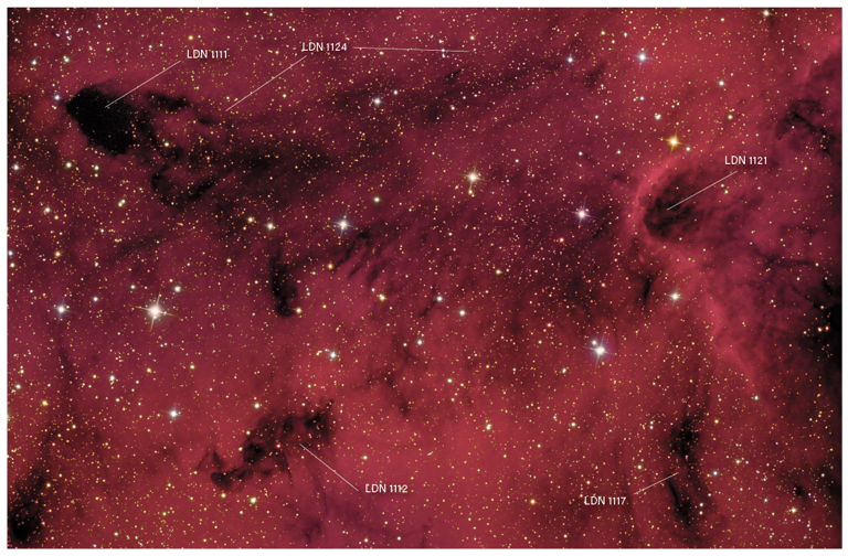 The quest for the ultimate catalog of dark nebulae