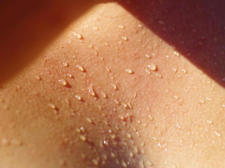 New study shows how sweat really forms