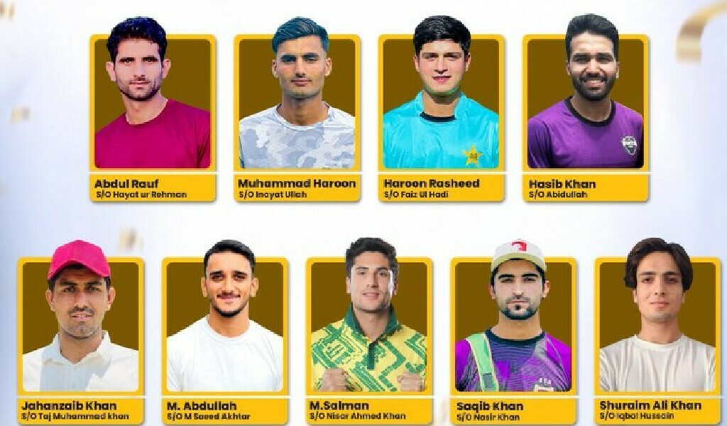9 Peshawar Zalmi stars set to shine for Kuwait cricket