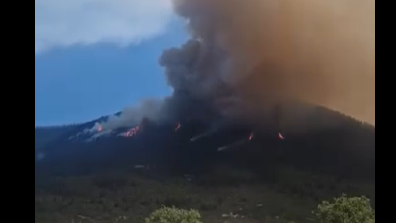 Φωτιά σε δασική περιοχή στην Παλαιομάνινα Αιτωλοακαρνανίας