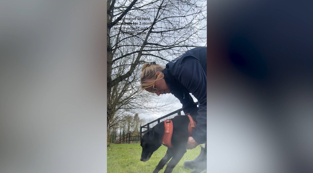 Woman Carries Dog For 3 Months Until She Can Walk Again