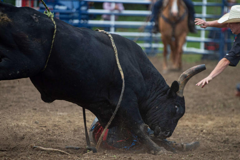 Rodeo in small Michigan town brings big sense of community