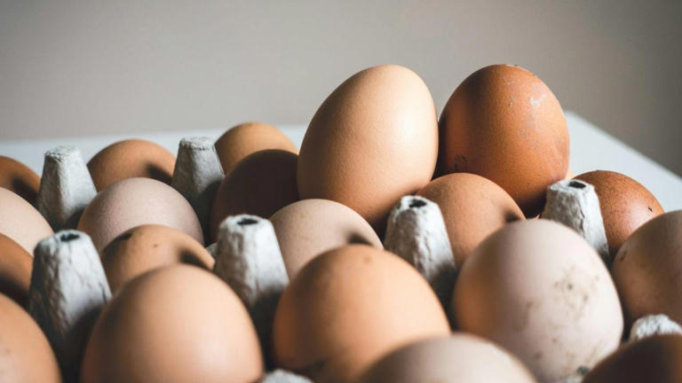 Nutricionista explica quantos ovos por semana pode comer sem culpa