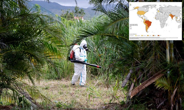 Experts warn of another global epidemic as rare virus spreads to new areas