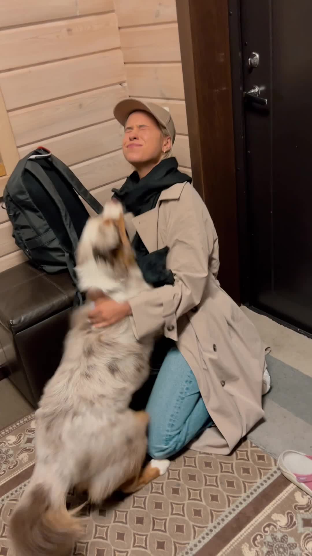 Excited dog is greeting owner who just came back from a trip!