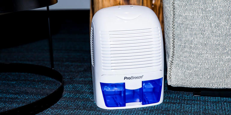 Got a Musty Attic or Damp Basement? These Humidifiers Pull Pints of ...