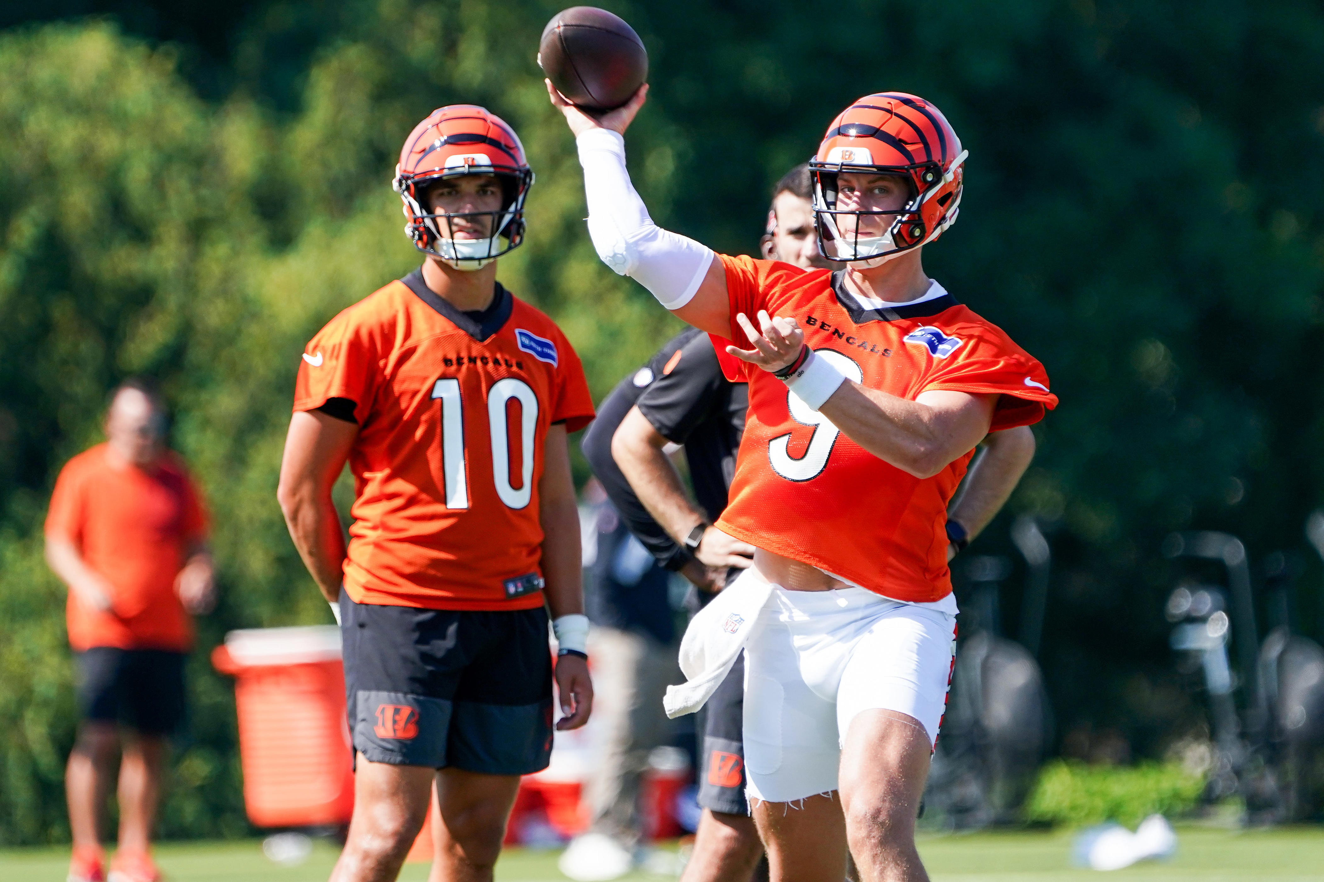 NFL record predictions 2025: AI win-loss prediction for Cincinnati ...