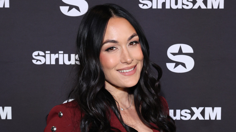 Former WWE Star Brie Bella Details Plans For SummerSlam 2025 Weekend