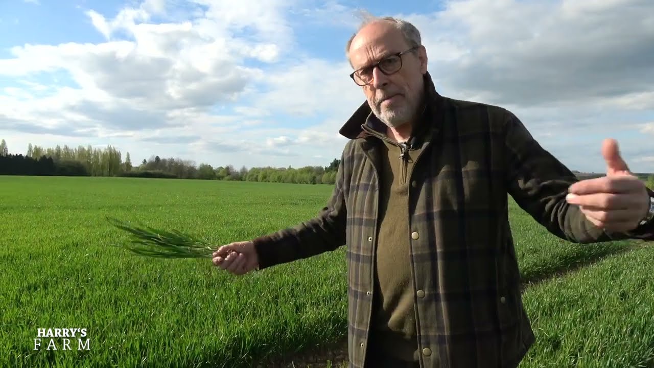 Changes in the Agricultural Sector and Weaknesses in the National Food ...