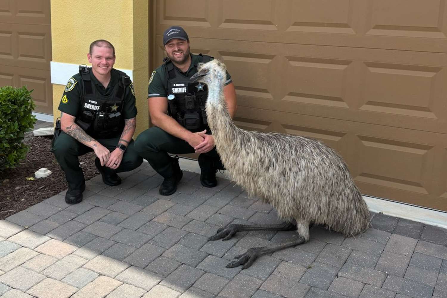 'Cat in a Tree? Nope!' Florida Officials Share Details from Unusual ...