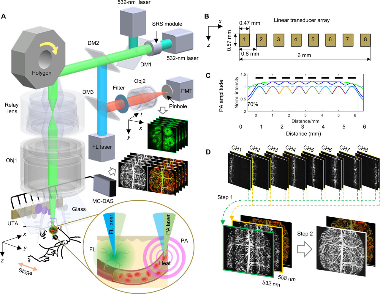 New microscope enables neurovascular coupling imaging across the entire ...