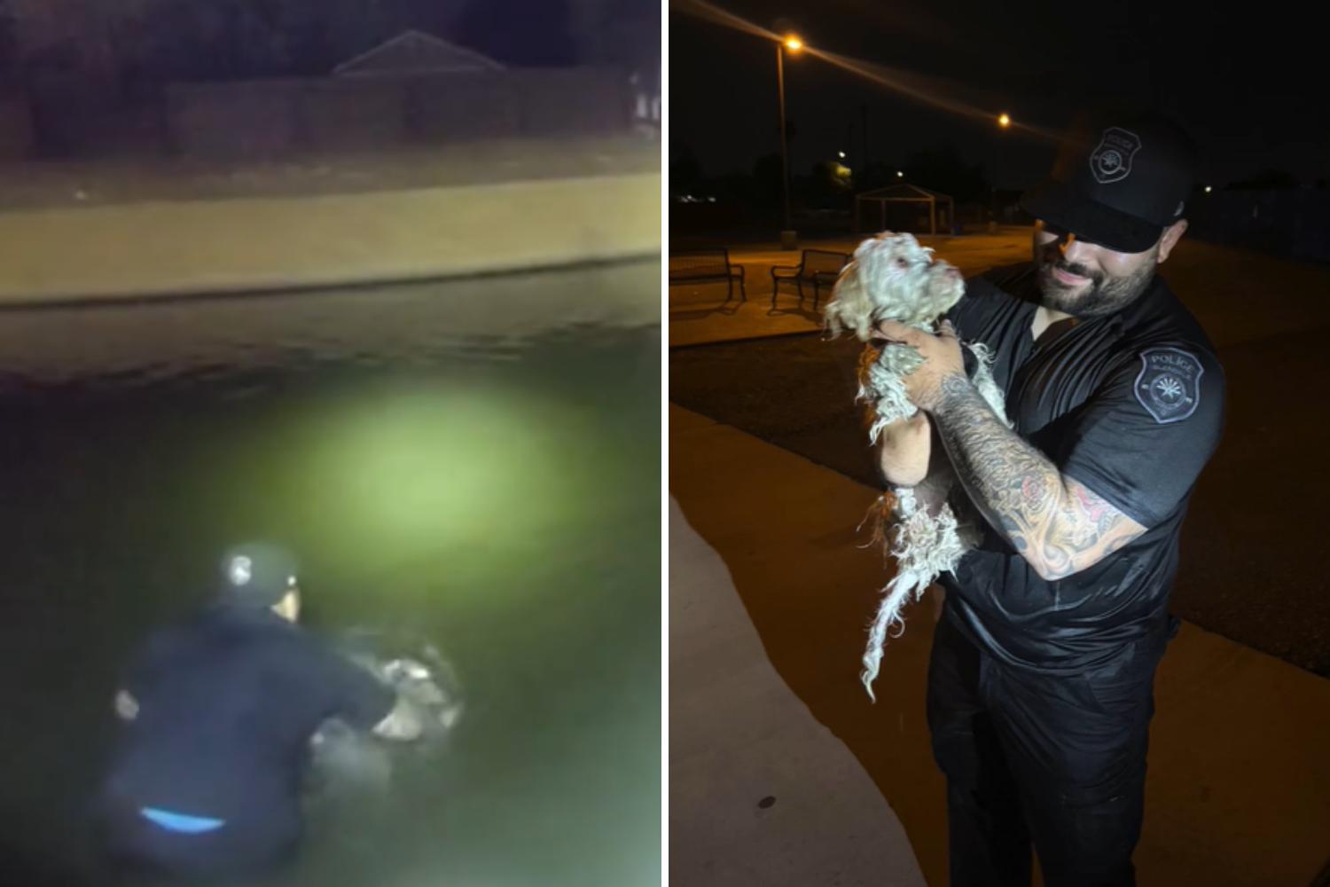 Cop jumps into canal to save stranded dog—bodycam captures it all