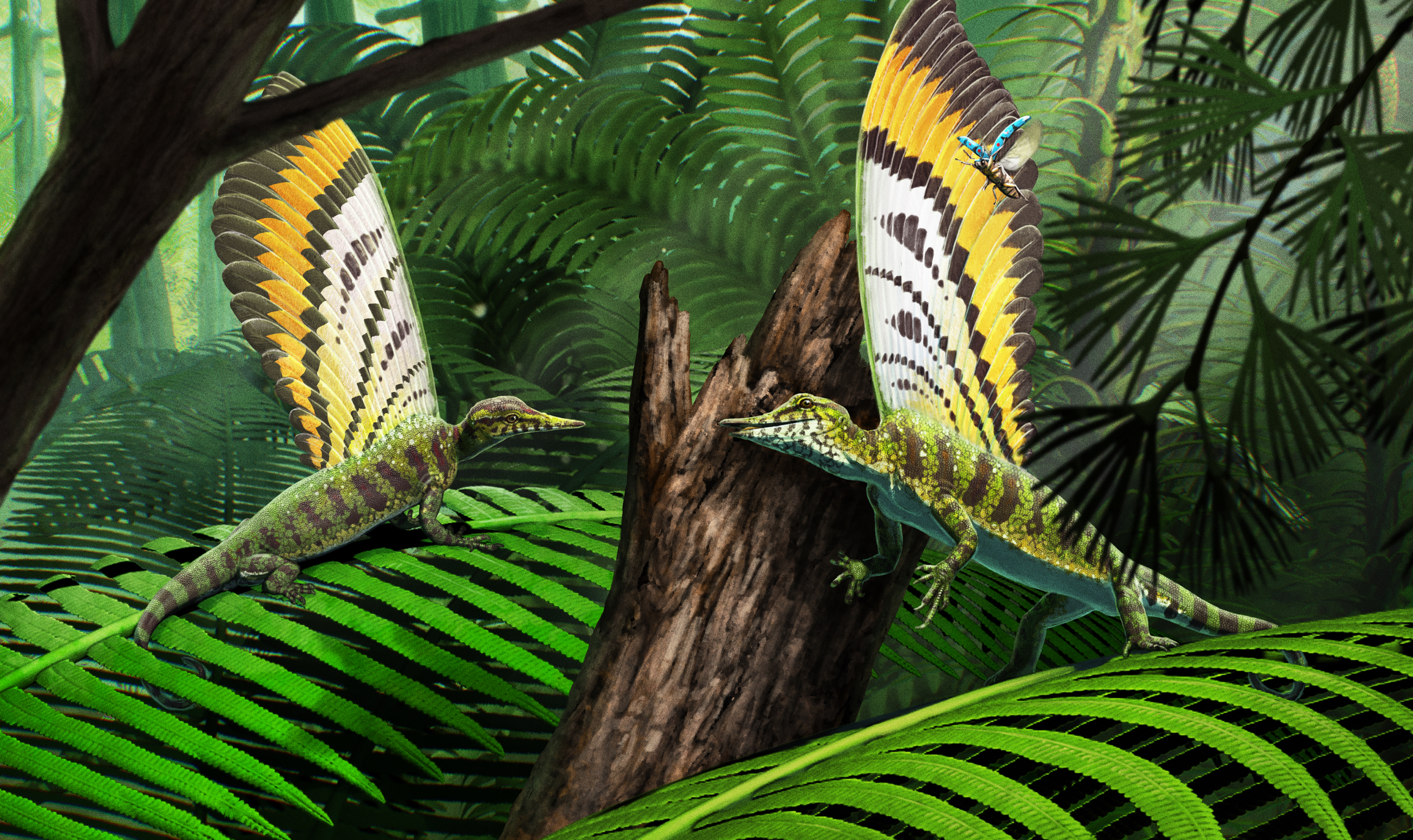 This Surprising Ancient Reptile Had a Colorful, Corrugated Sail on Its ...