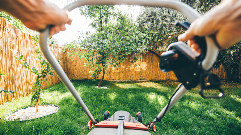 Crucial Lawn Mower Features To Look For When Buying A New One