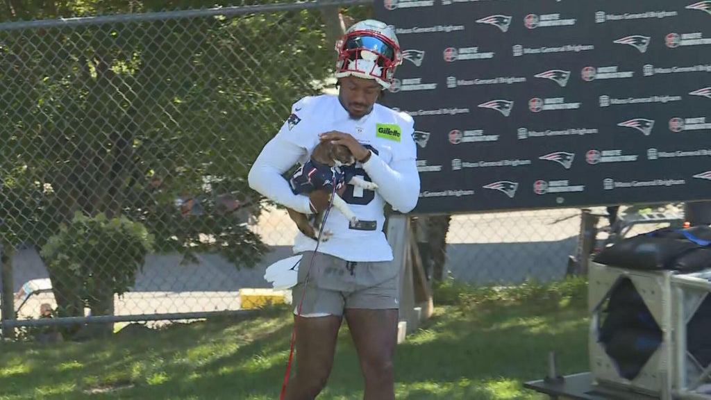 Watch Patriots players take field with puppies on Day 1 of training camp