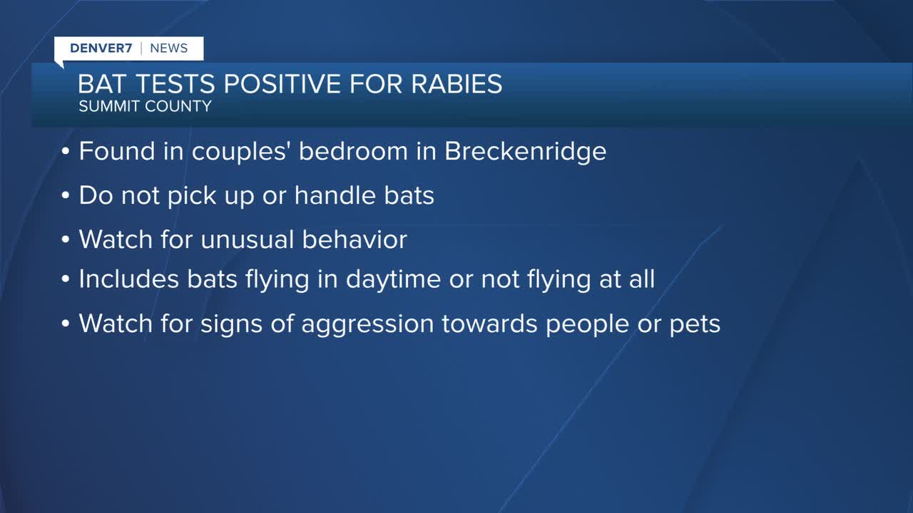 Two bats test positive for rabies, DDPHE announces Wednesday