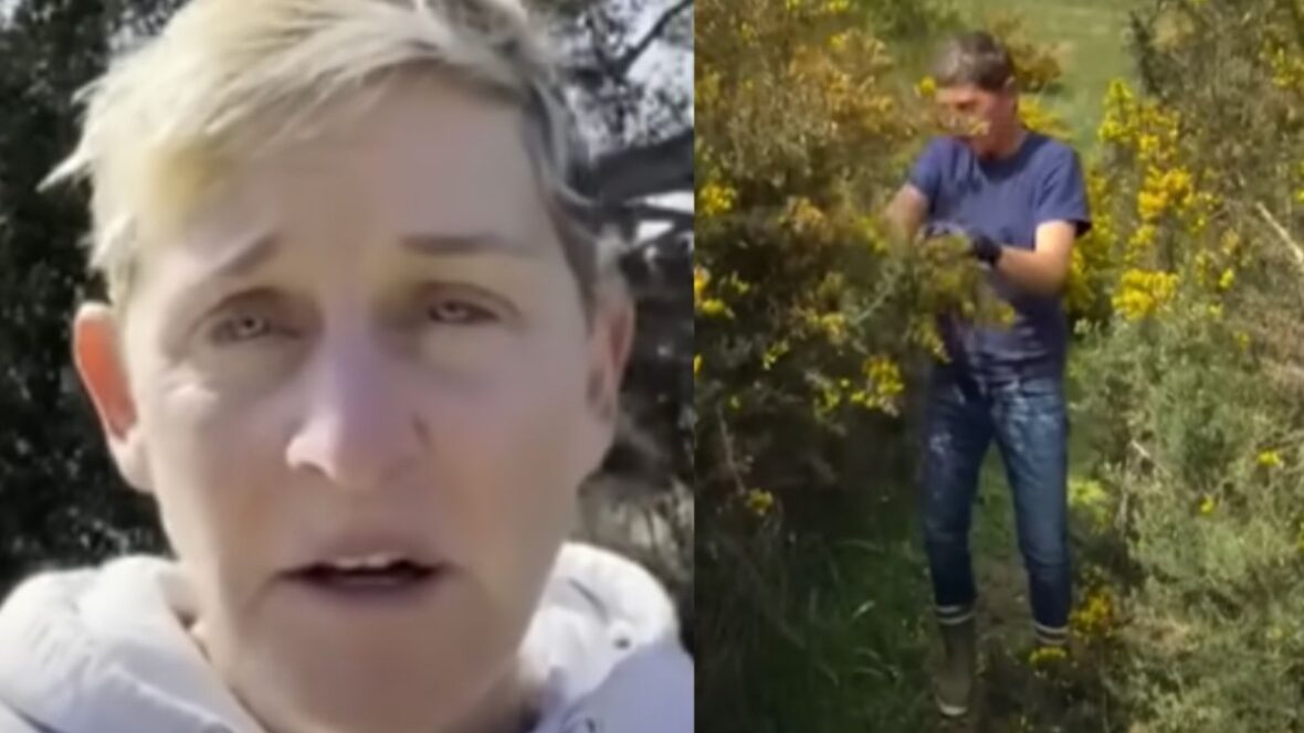 Ellen DeGeneres, 67, Desperately Tries To Launch Career Comeback After ...