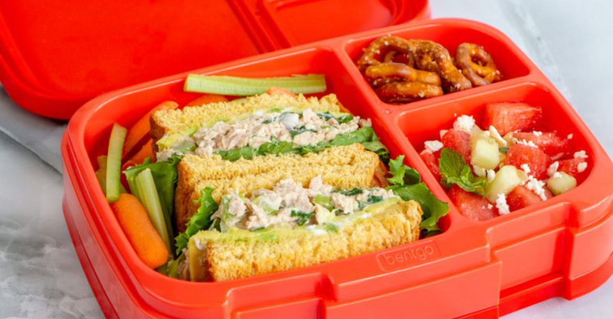 5 Things To Never Pack For School Lunch And 10 Your Kids Will Love