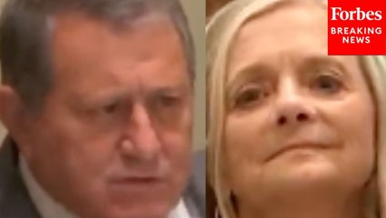 'You're Concerned That Your Vote Might Not Count?': Joe Morelle ...