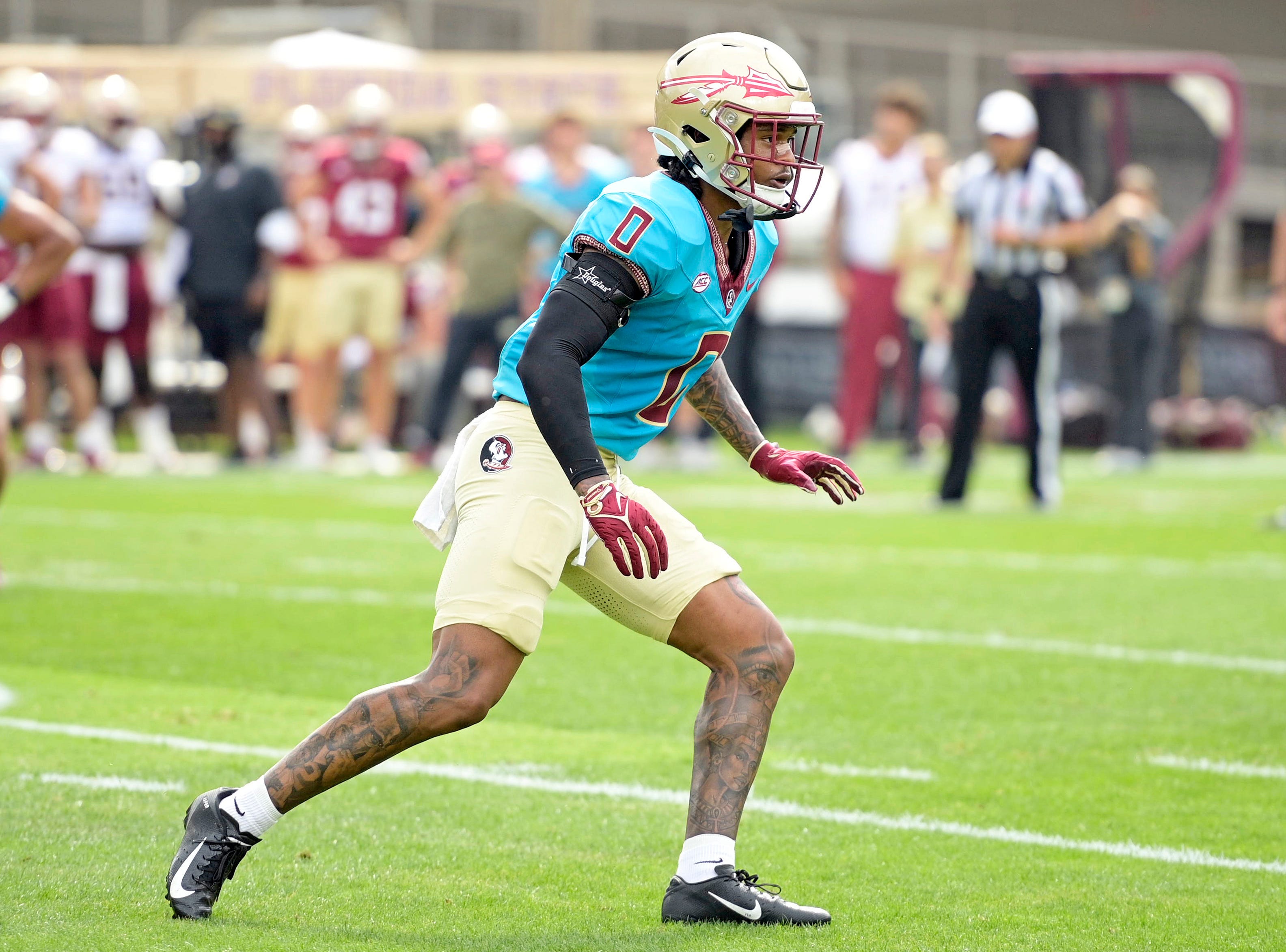 Earl Little Jr. shares his favorite part of FSU's new defense