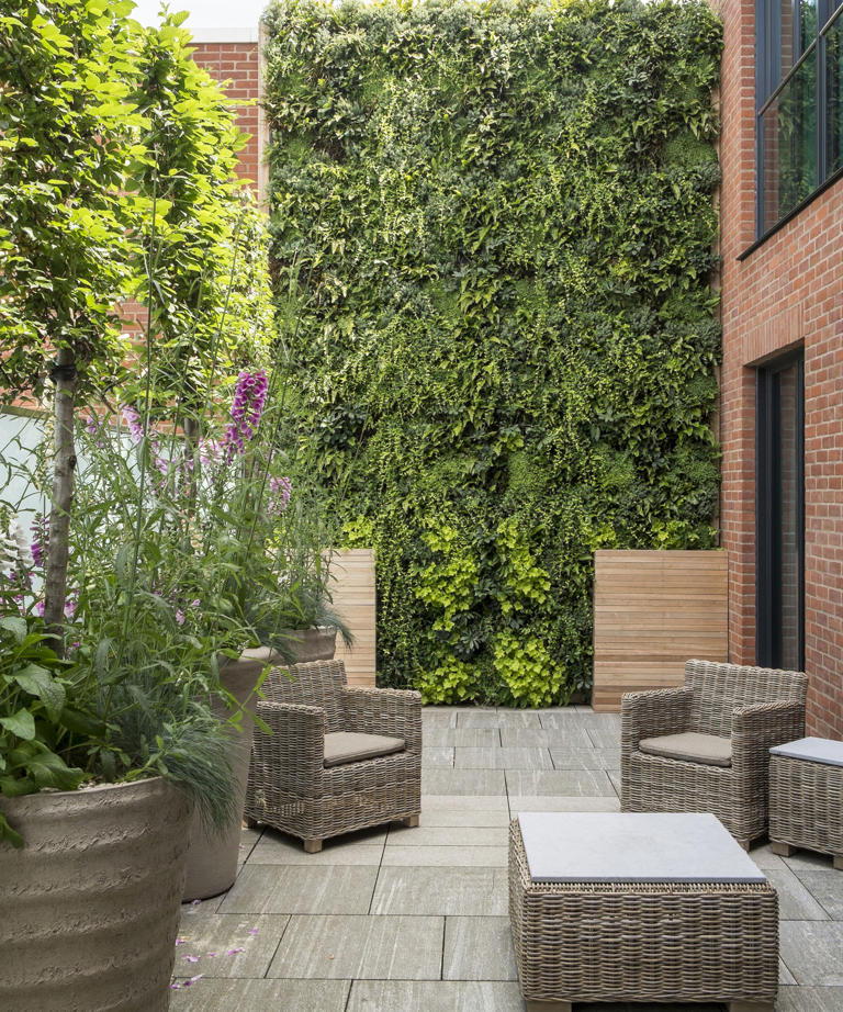 3 reasons vertical gardens fail in summer and how to make yours more ...