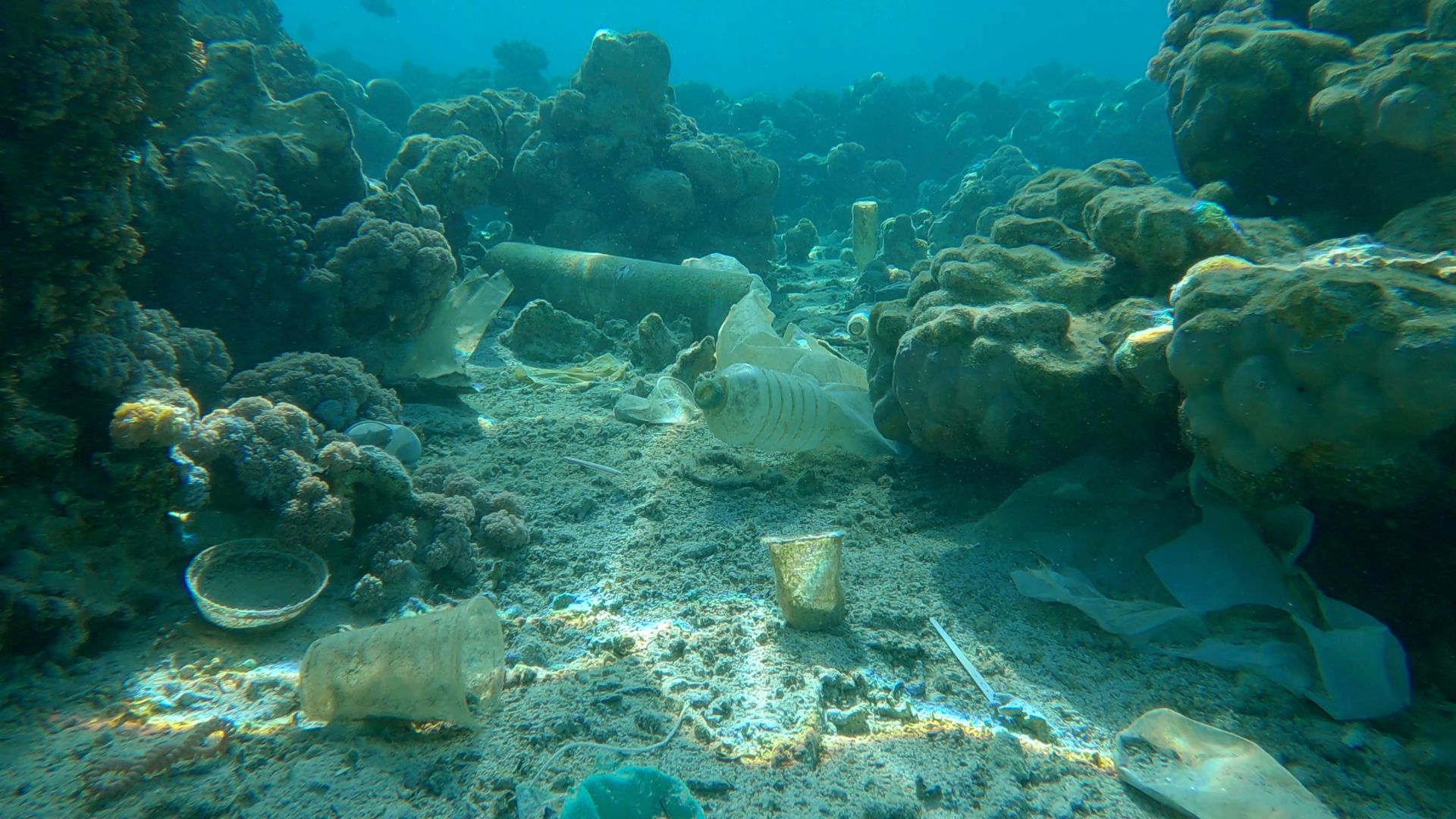 Scientists find bioplastic that vanishes 80% even in extreme deep-sea ...