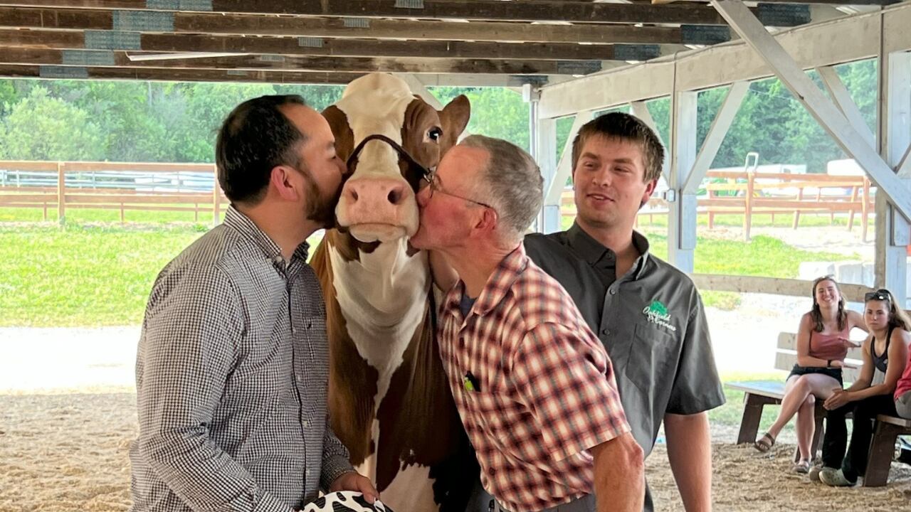 Kiss a Cow fundraiser earns over $16K for ALICE families in Lewis Co.