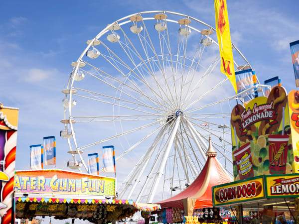 Houston Livestock Show and Rodeo rounds up prestigious national award