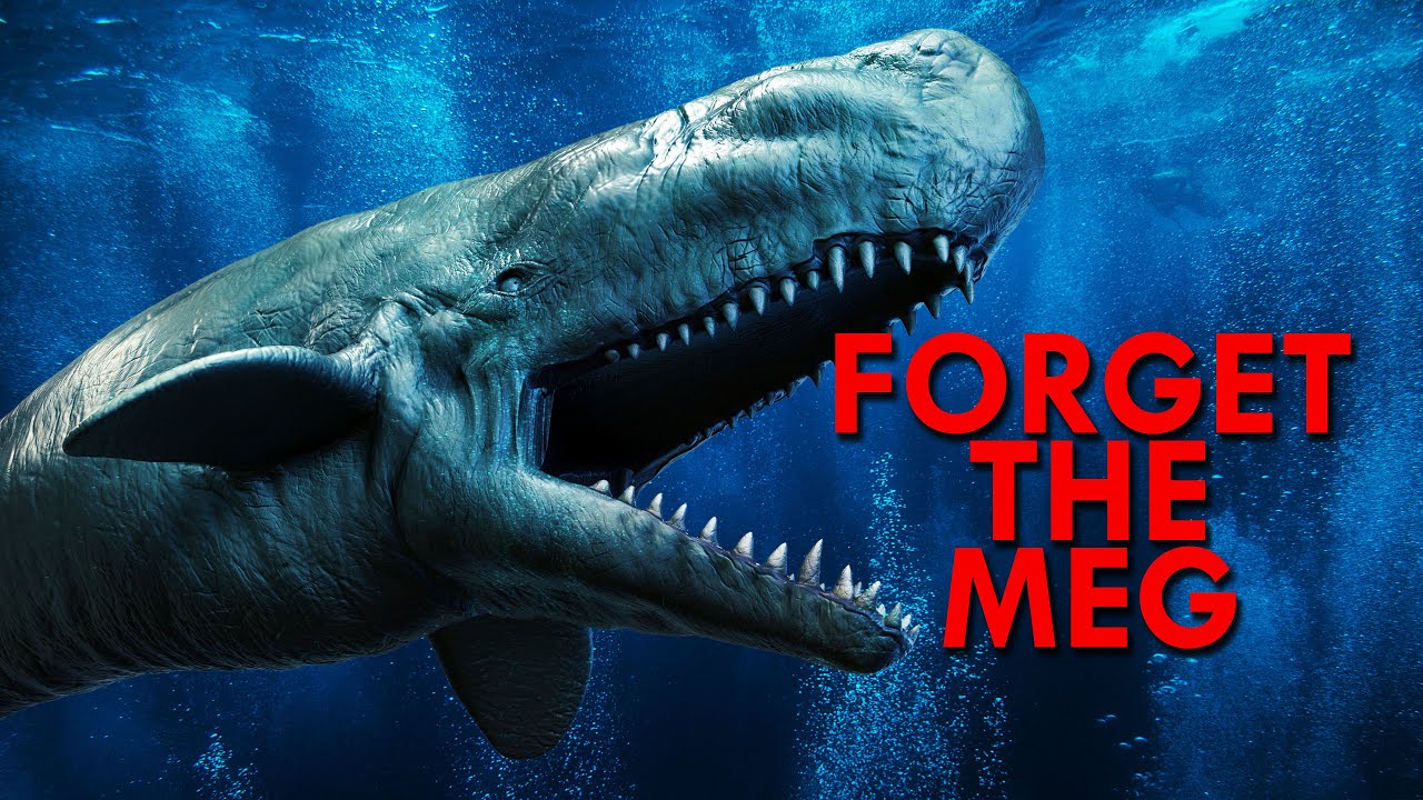 This Prehistoric Sperm Whale Was a True Leviathan