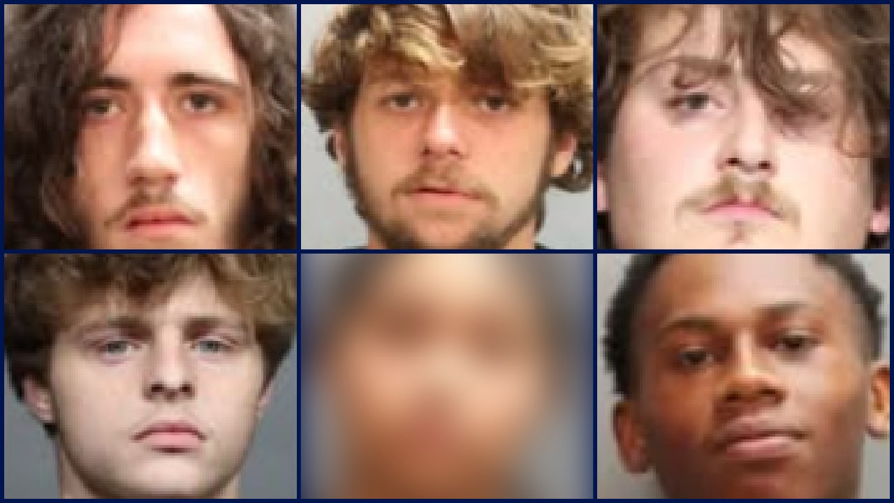 Florida officers arrest 6 friends, clear 11 cases after great dane dog ...