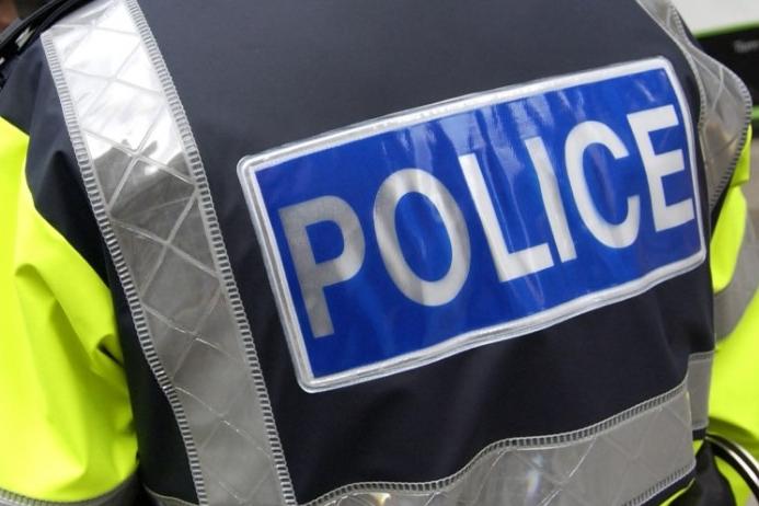 Police raid Kirkcaldy flat and recover haul of cannabis