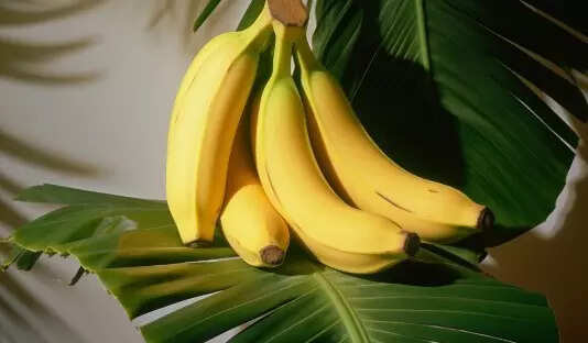 How to Use Banana Peel for Plant Care: A Natural Boost for Your Green ...
