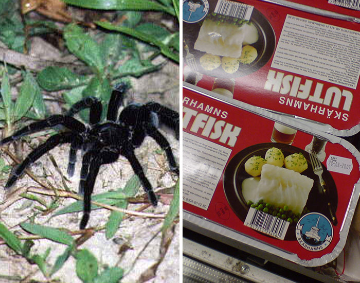 27 Of The Most Inedible Foods Out There, According To The Folks That ...