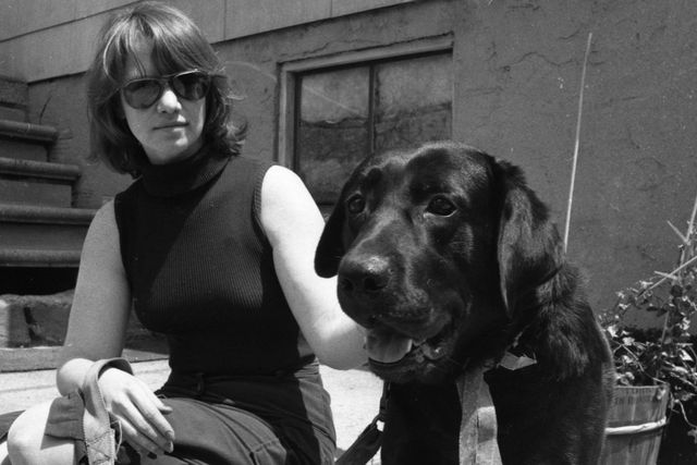 The Son of Sam Serial Killer Terrorized New York City with Shootings ...