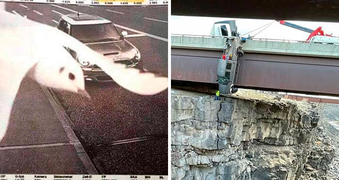 34 People Share Things That Happened That Are So Rare, They Seem Nearly ...