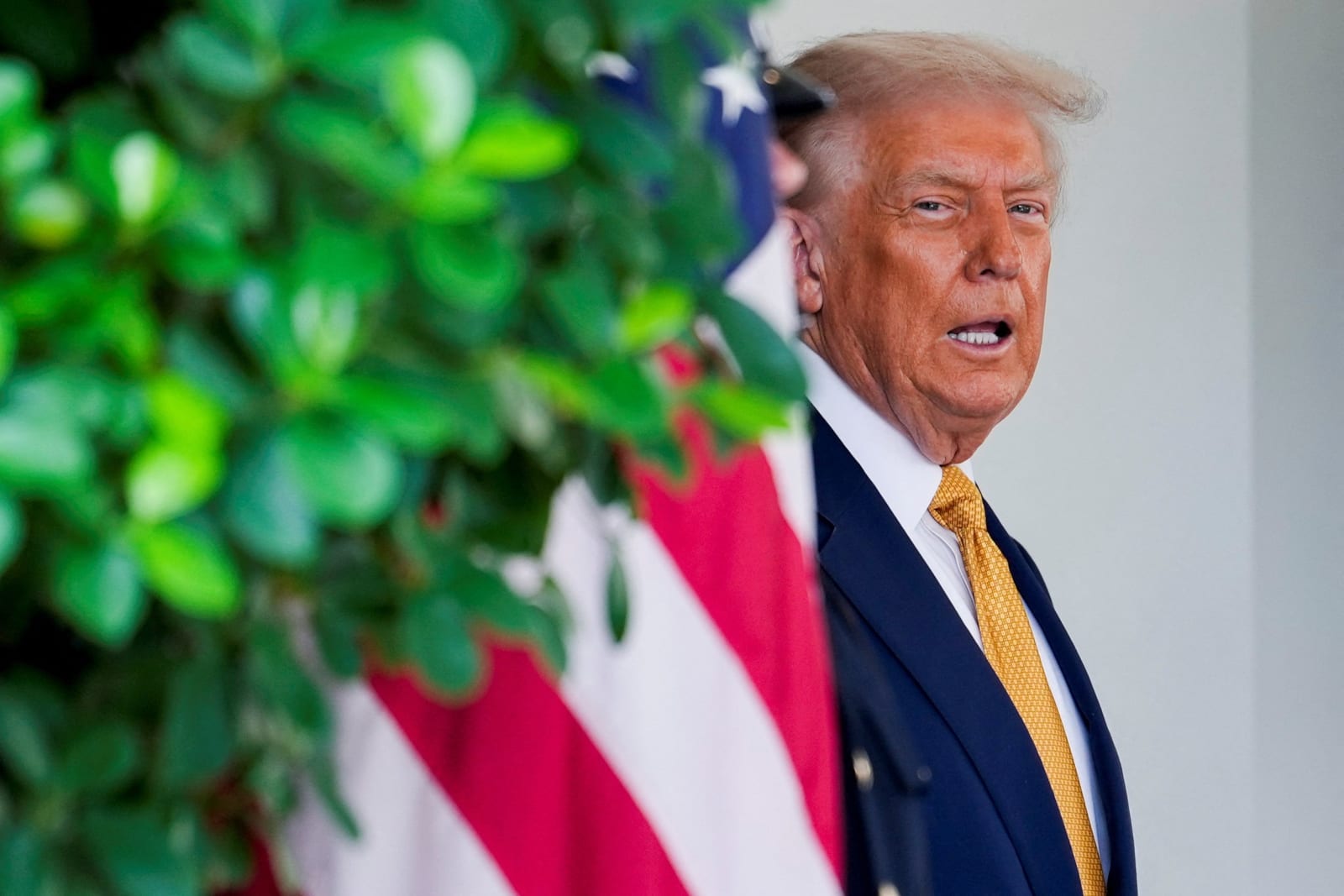 The one man who has the strength to finish off Donald Trump | Opinion