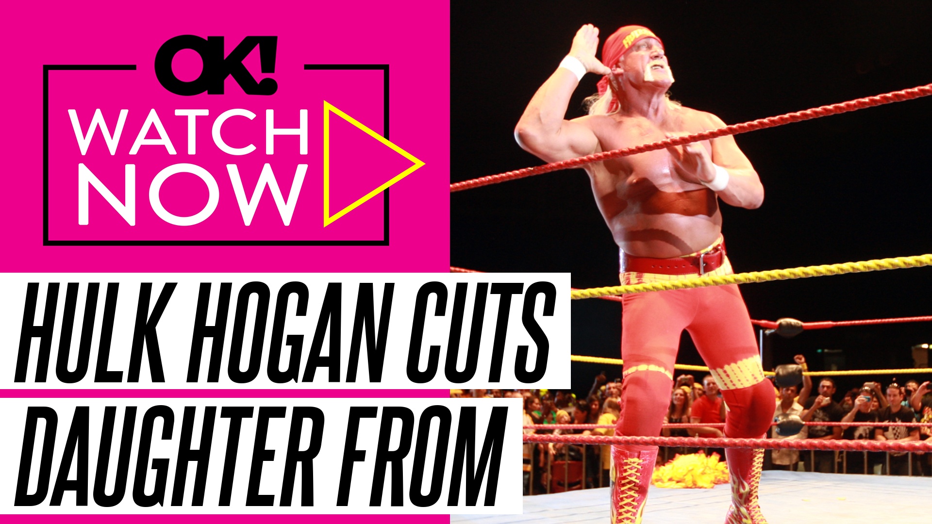 Hulk Hogan's Daughter Brooke Removed From Wrestler's Will as She Didn't ...