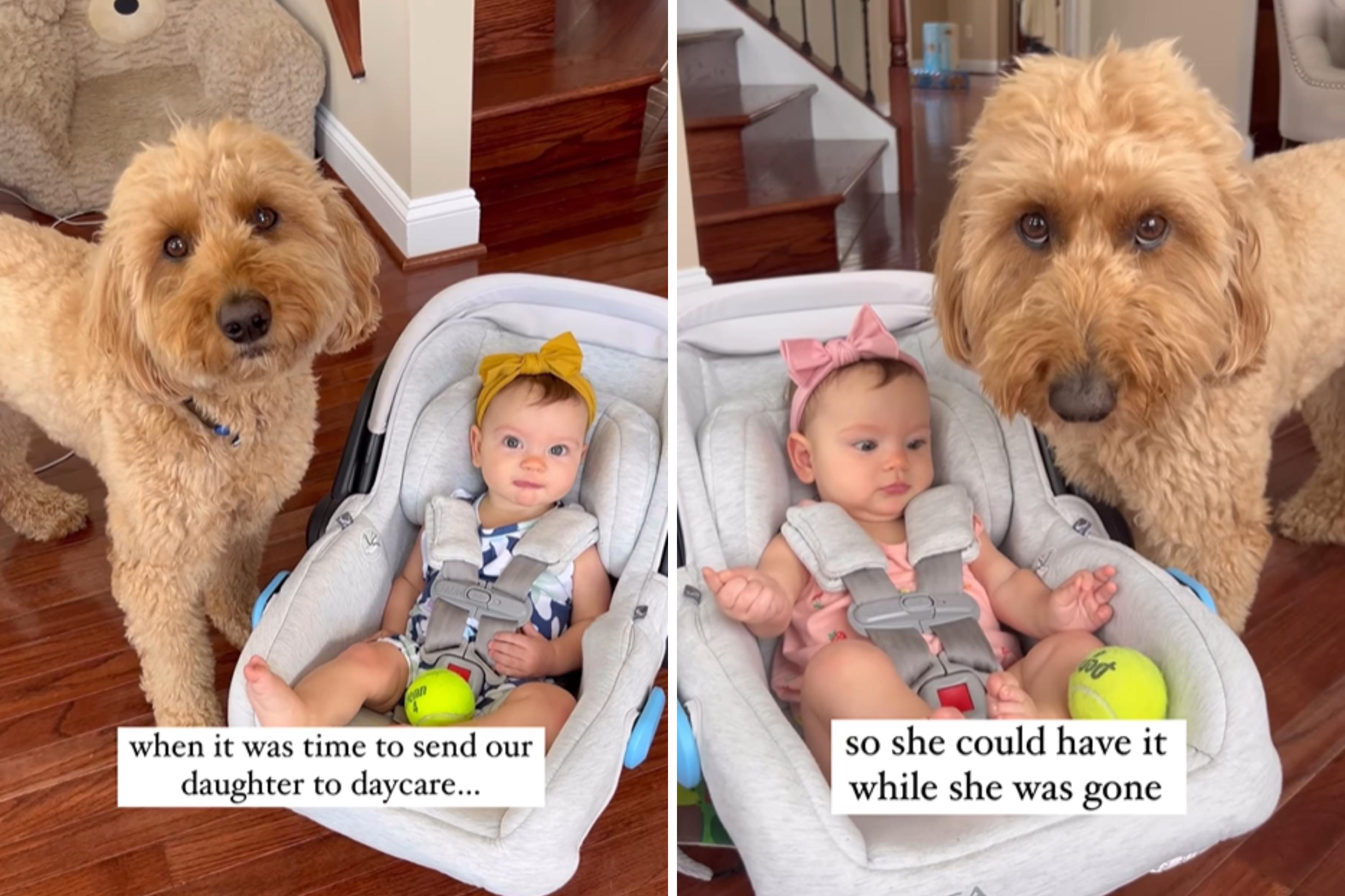 Baby prepped for first daycare session, dog knows how to comfort her