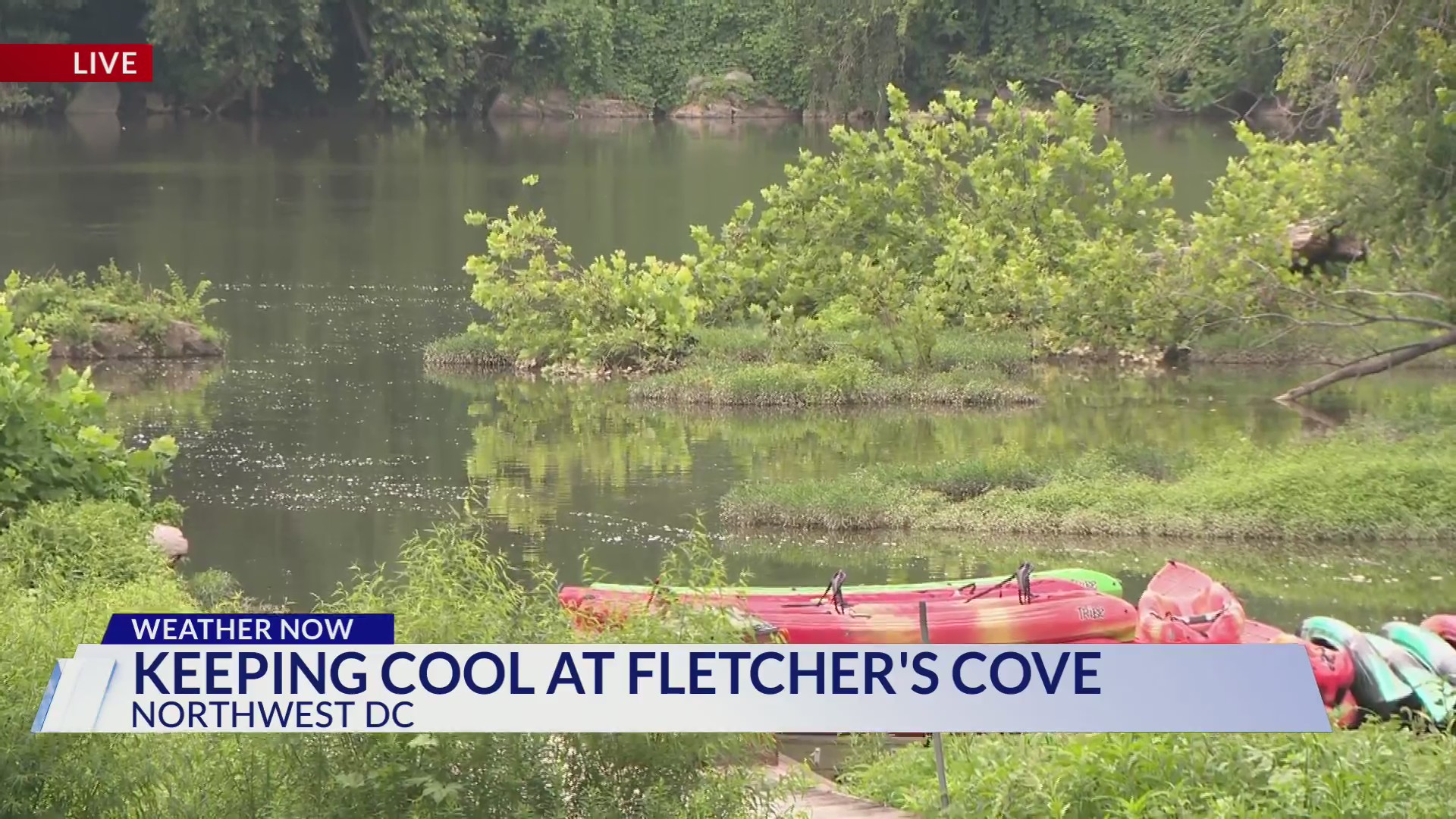 Keeping Cool at Fletcher's Cove in DC