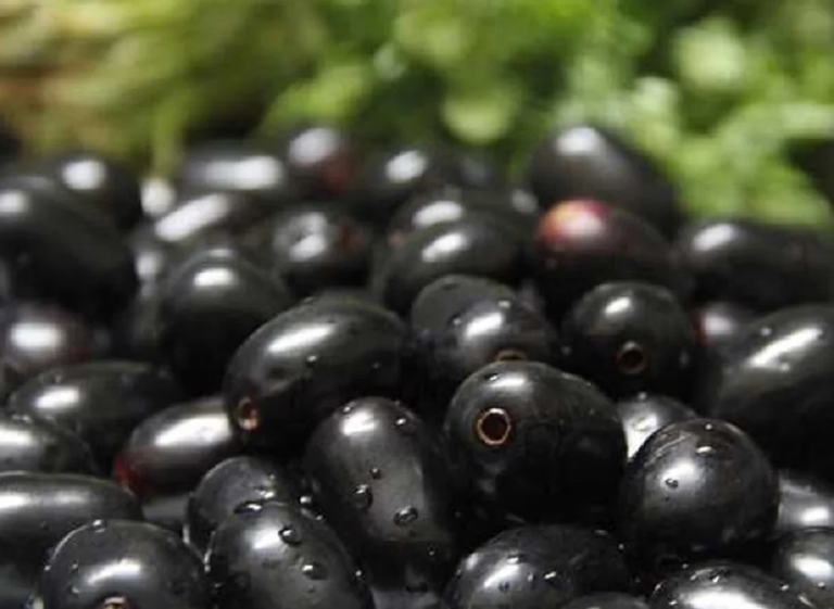 Health Tips- Eating berries has many health benefits. Know about them.