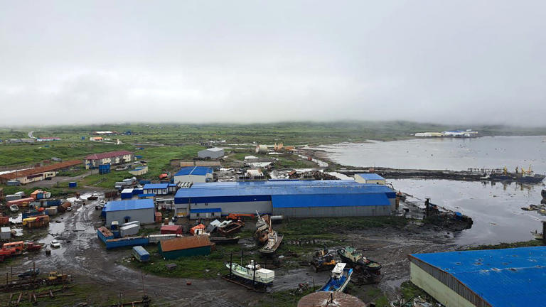 Which states felt impact of tsunami waves? See list of where it hit