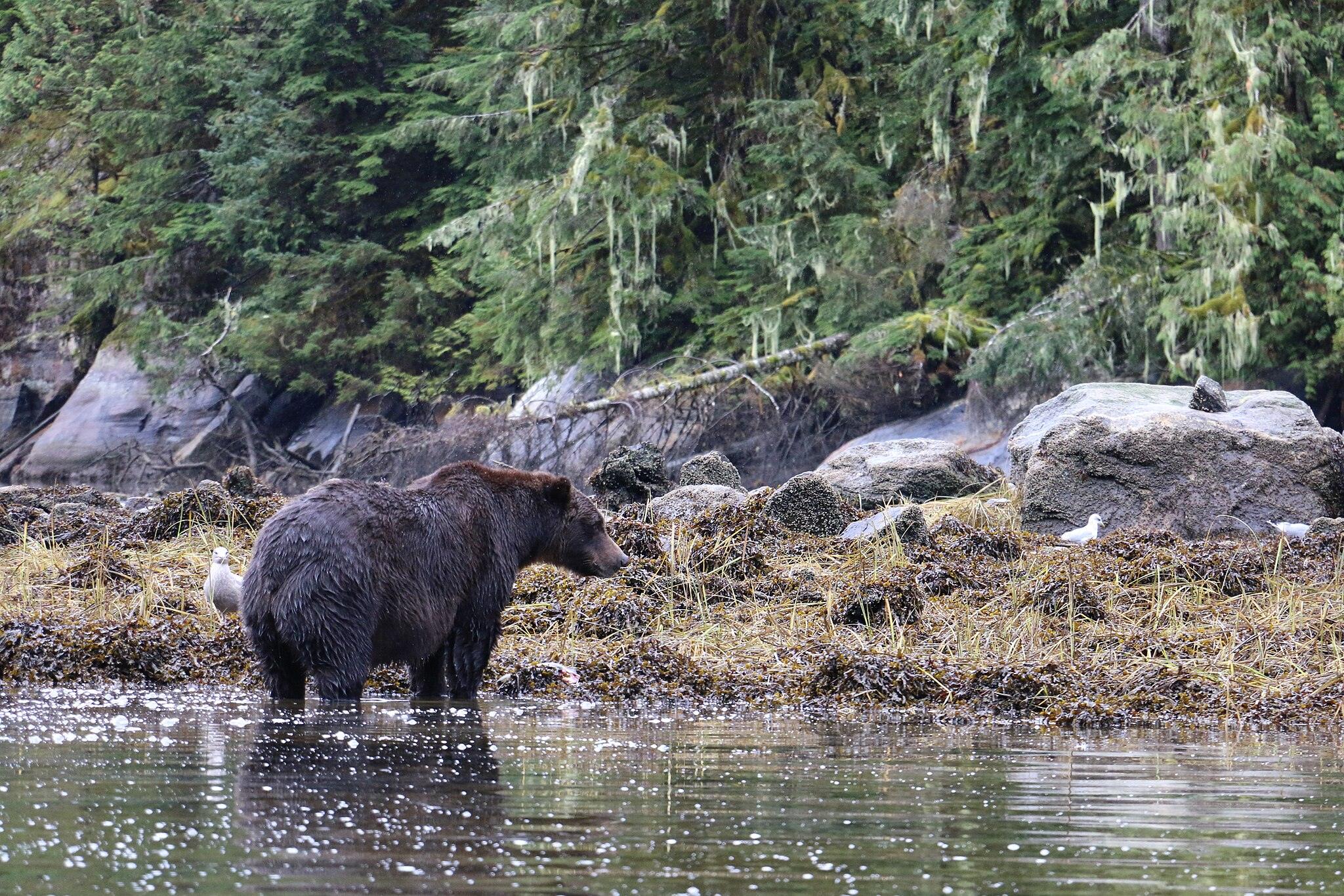 Canada’s Last True Wilderness: 10 Places That Take Serious Effort to Reach