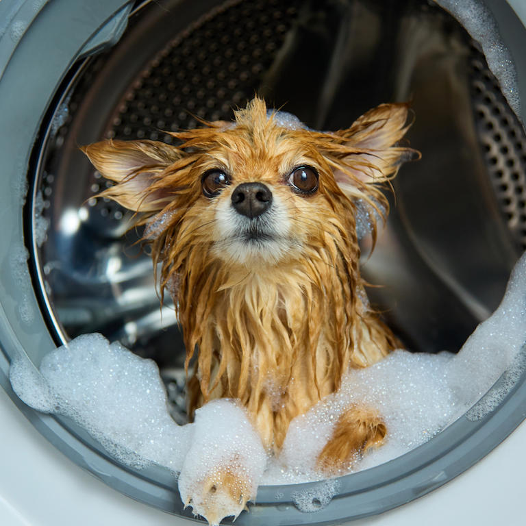 Rescue Your Moldy Washing Machine With These Hacks