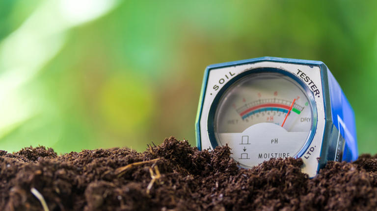 Soil Prep Tips To Know Before Installing New Sod