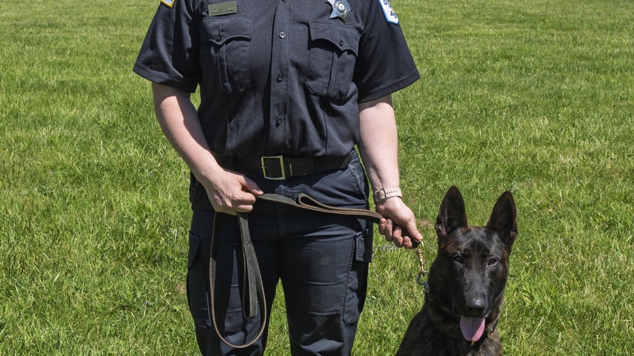 Chicago police K9 receives lifesaving vest from national nonprofit