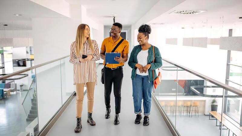 Practicum Vs. Internship: What’s The Difference?