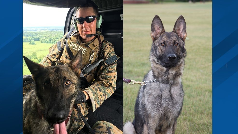 Michigan State Police honor K9 Loki as he retires after years of ...