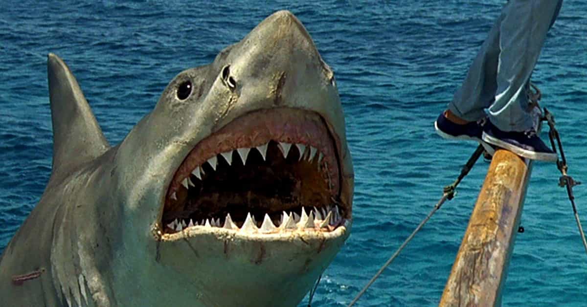 Interesting Details From Shark Movies