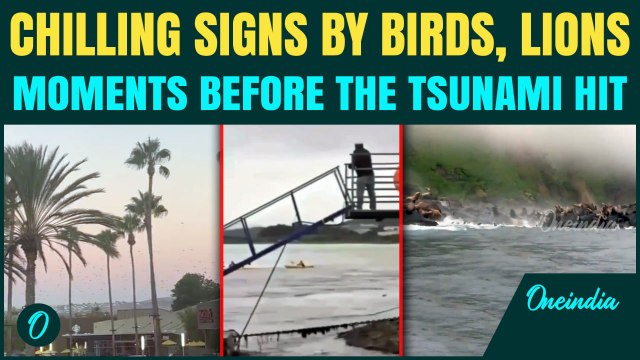 Tsunami in Pacific Ocean: Nature Warned Seconds Before —Eerie Calm ...