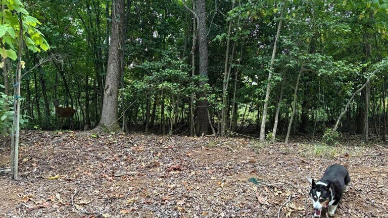 Optical illusion: Only people with great observational skills can find ...